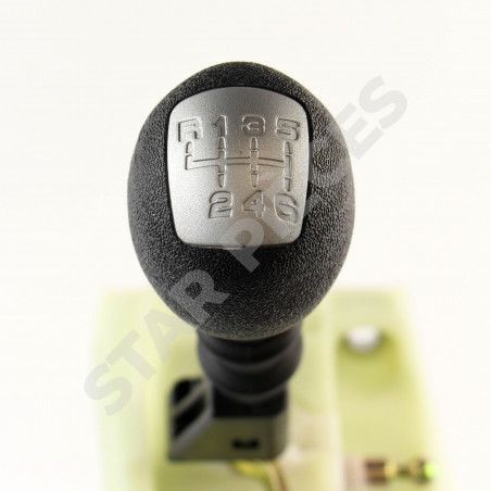 Levier pommeau 6 vitesses pour Iveco Daily | 5801260777, 504179738 ...